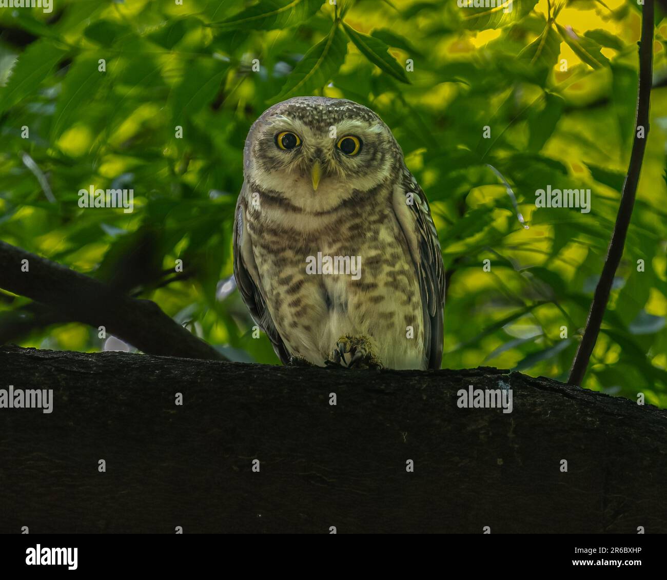 Young lovely couple hunter hi-res stock photography and images - Alamy