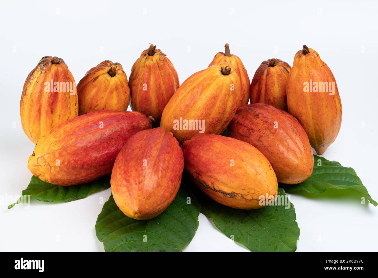 Pile of cacao beans pods with green leafs plant isolated on white ...