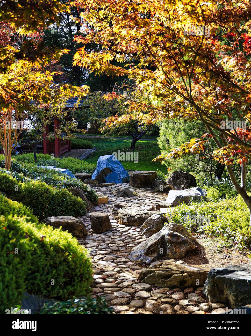 A winding rock pathway with naturally formed stones and shrubbery that ...