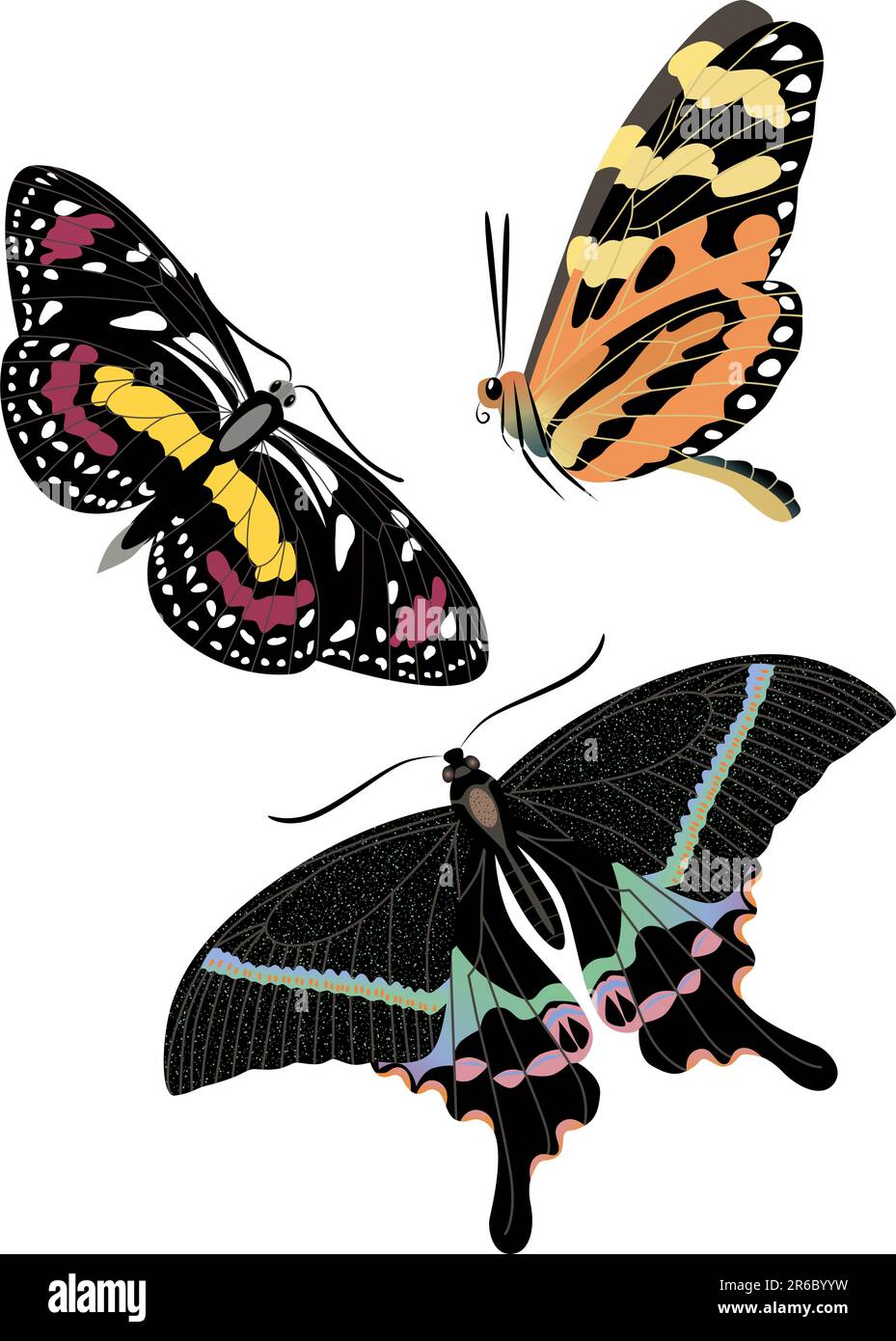 realistic colorful butterfly set Stock Vector Image & Art - Alamy