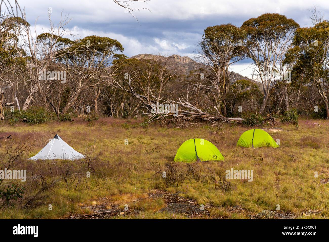 A scenic view of several tents set up in an open grassy space ...