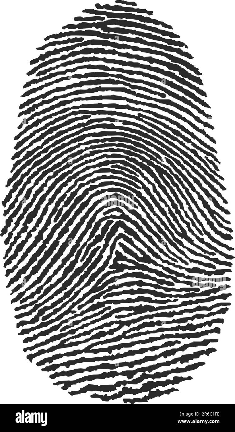 vector illustration of a fingerprint Stock Vector Image & Art - Alamy