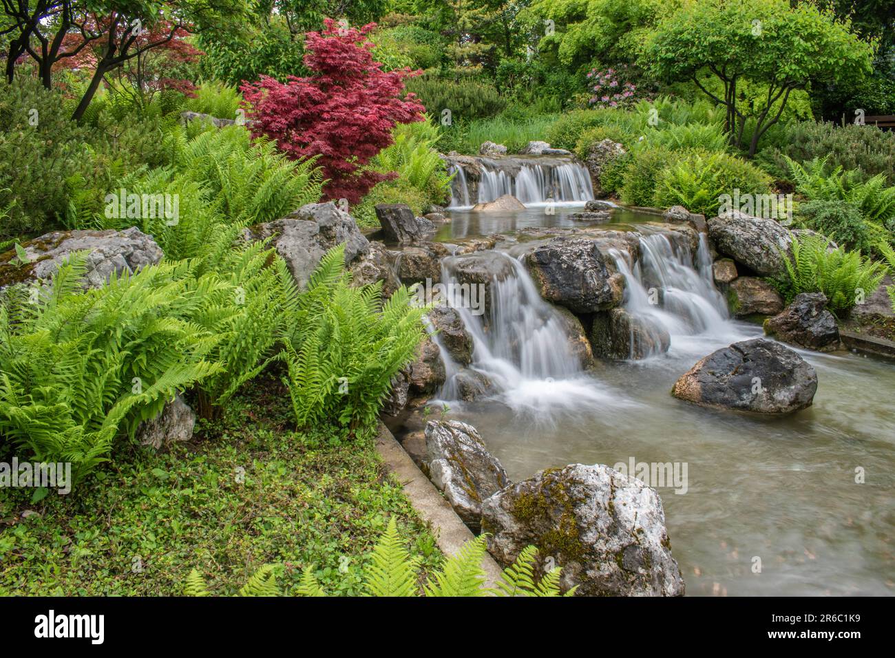 vienna, austria. 13 may 2023 enchanting serenity captivating japanese ...