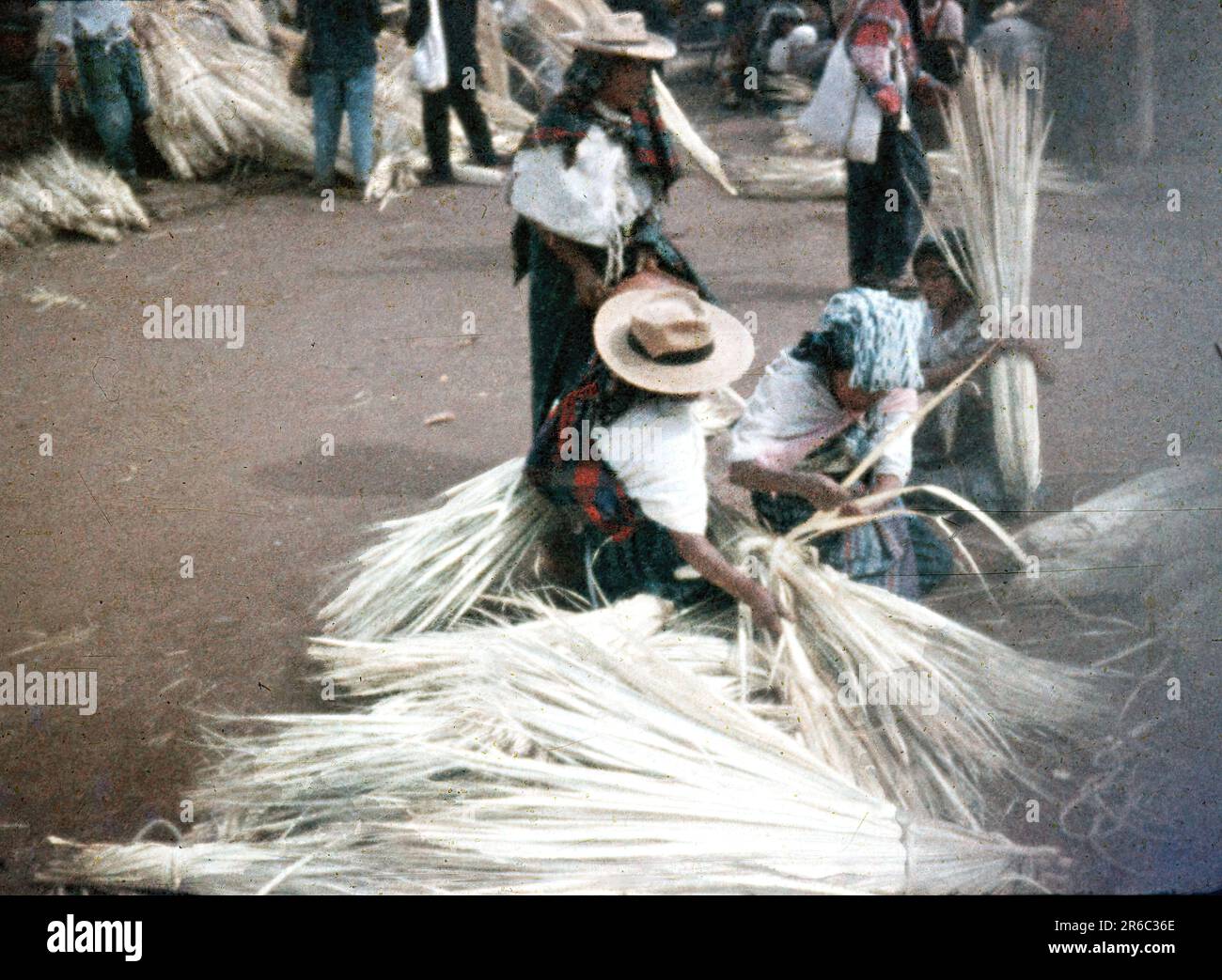 Sorting through photos hi-res stock photography and images - Alamy