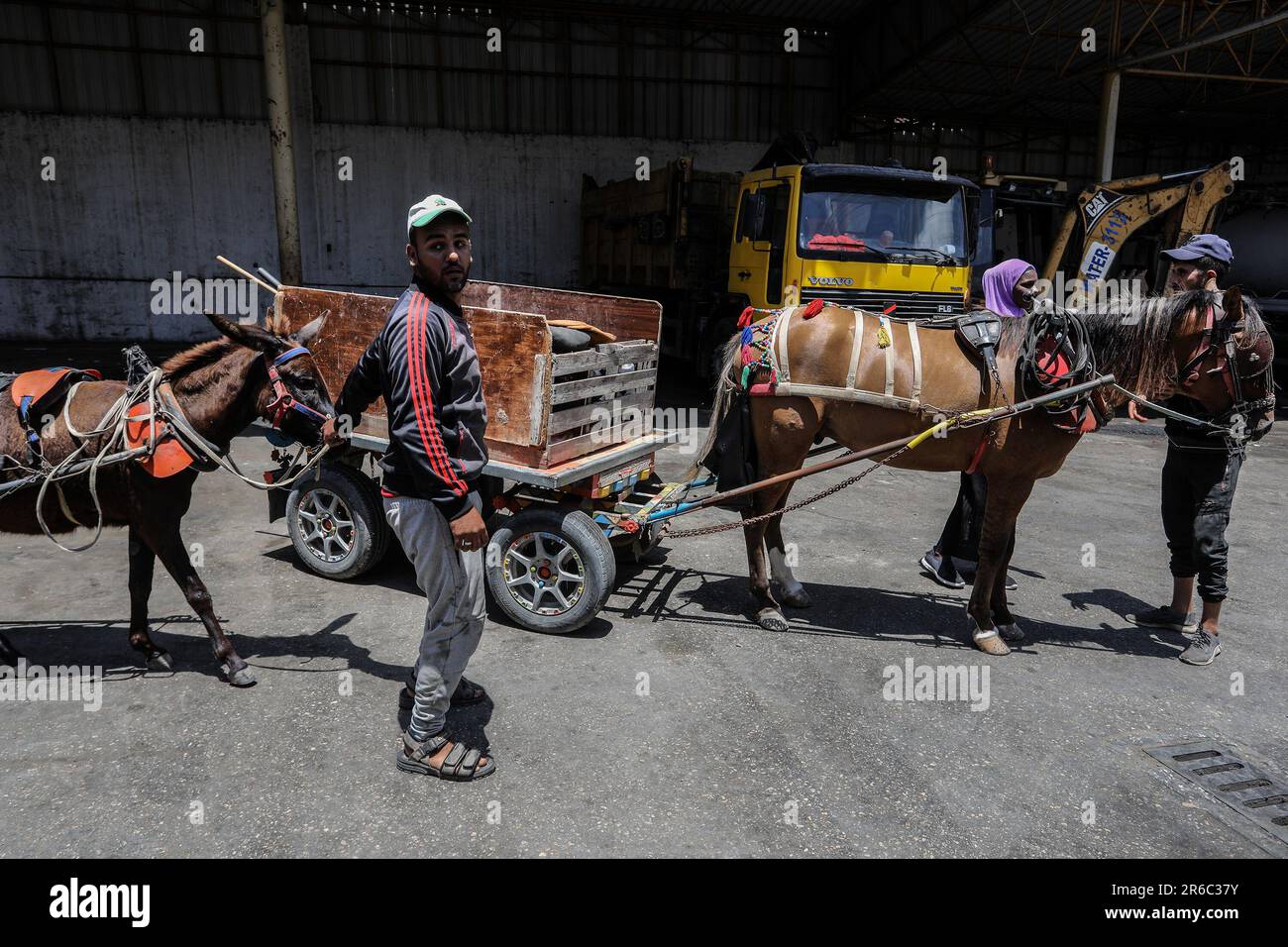 Palestinians on "World Environment Day" puts leather bags to collect ...