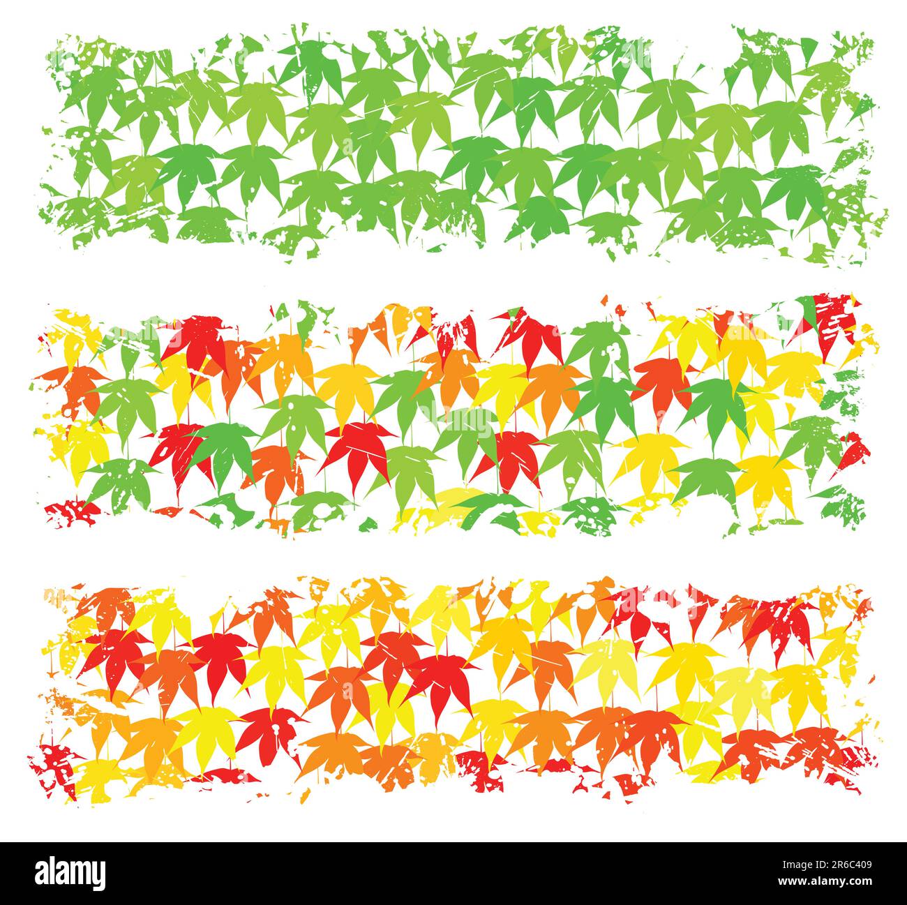 Editable vector designs of maple leaves in different seasons with ...