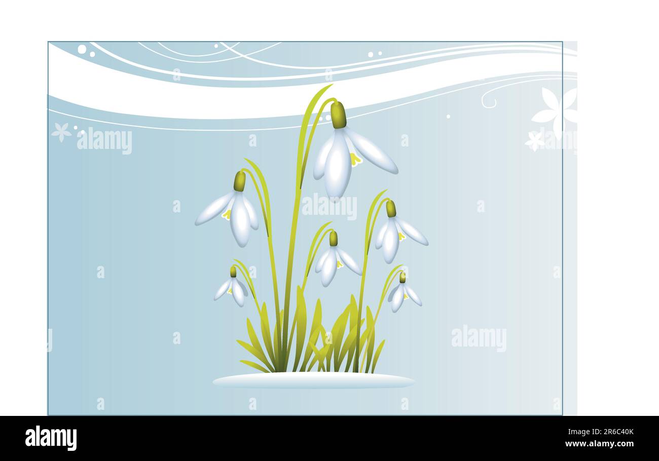 Arctic flower Stock Vector Images - Alamy
