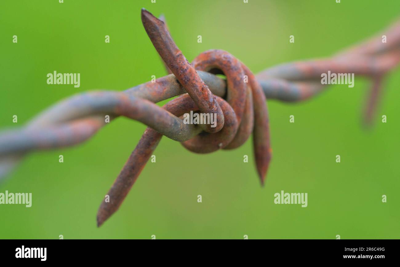 Barb wire entanglement hi-res stock photography and images - Alamy