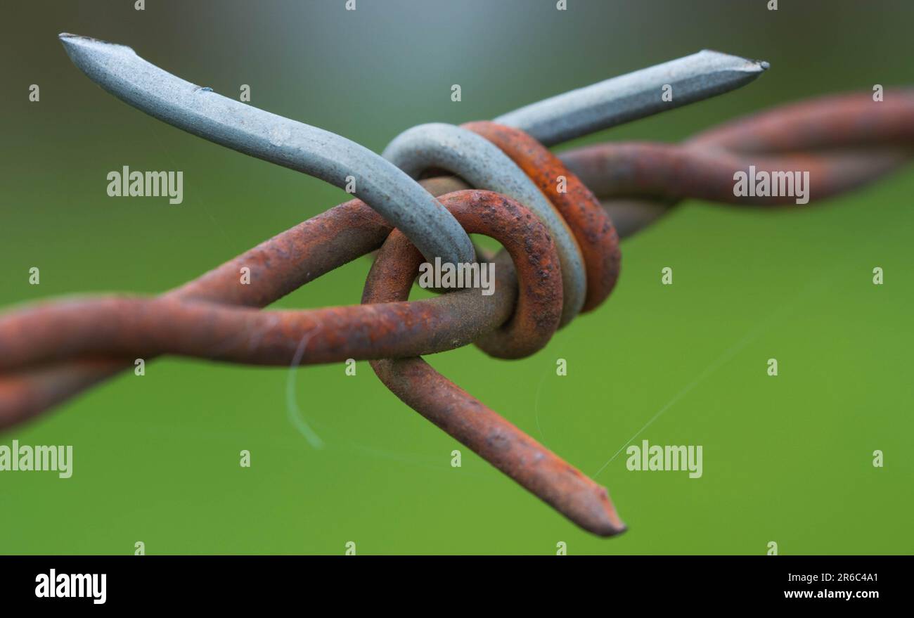 Barb wire entanglement hi-res stock photography and images - Alamy