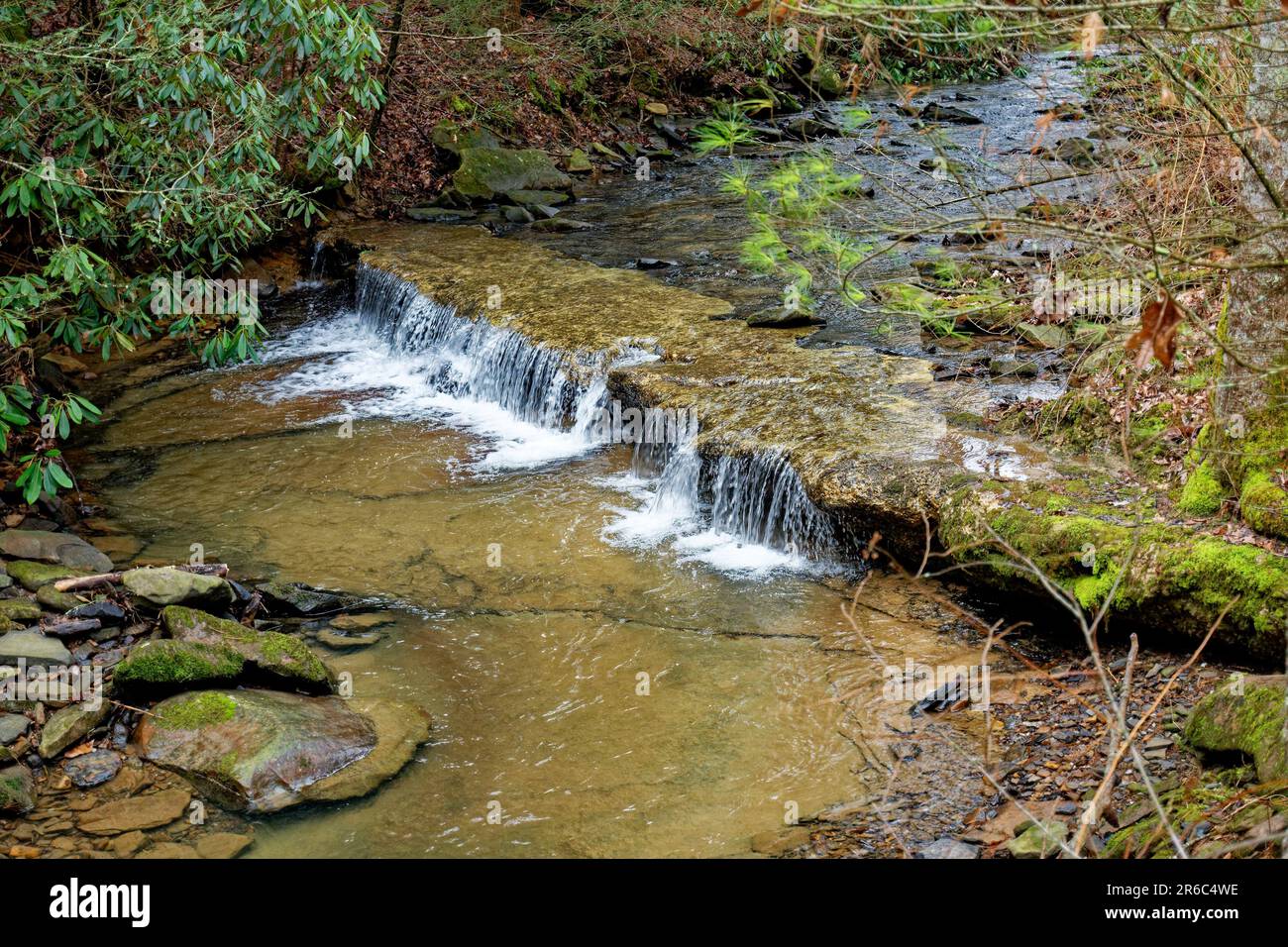 A creek with a small cascading waterfall with splashing water flowing ...