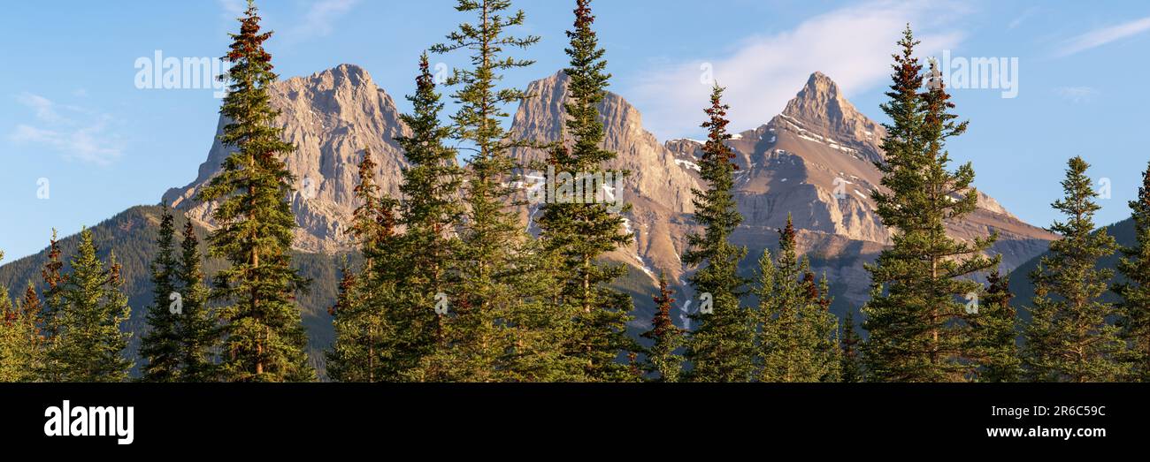 Wilderness area in Canmore with Three Sisters in the background on blue sky day. Stunning area ...