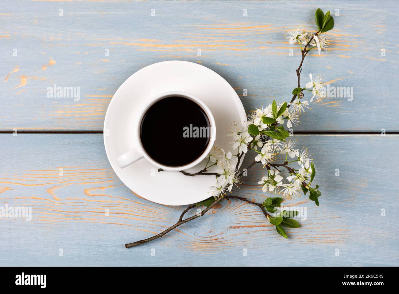 Cup of fresh black coffee and cherry blossom branches on blue wooden ...