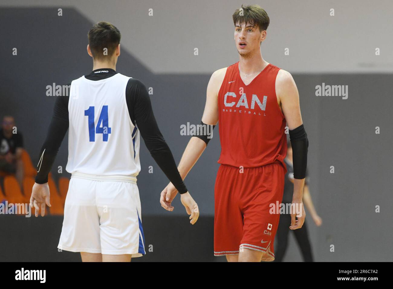 He is only 17 years old, but he is already a dizzying 231 centimeters ...