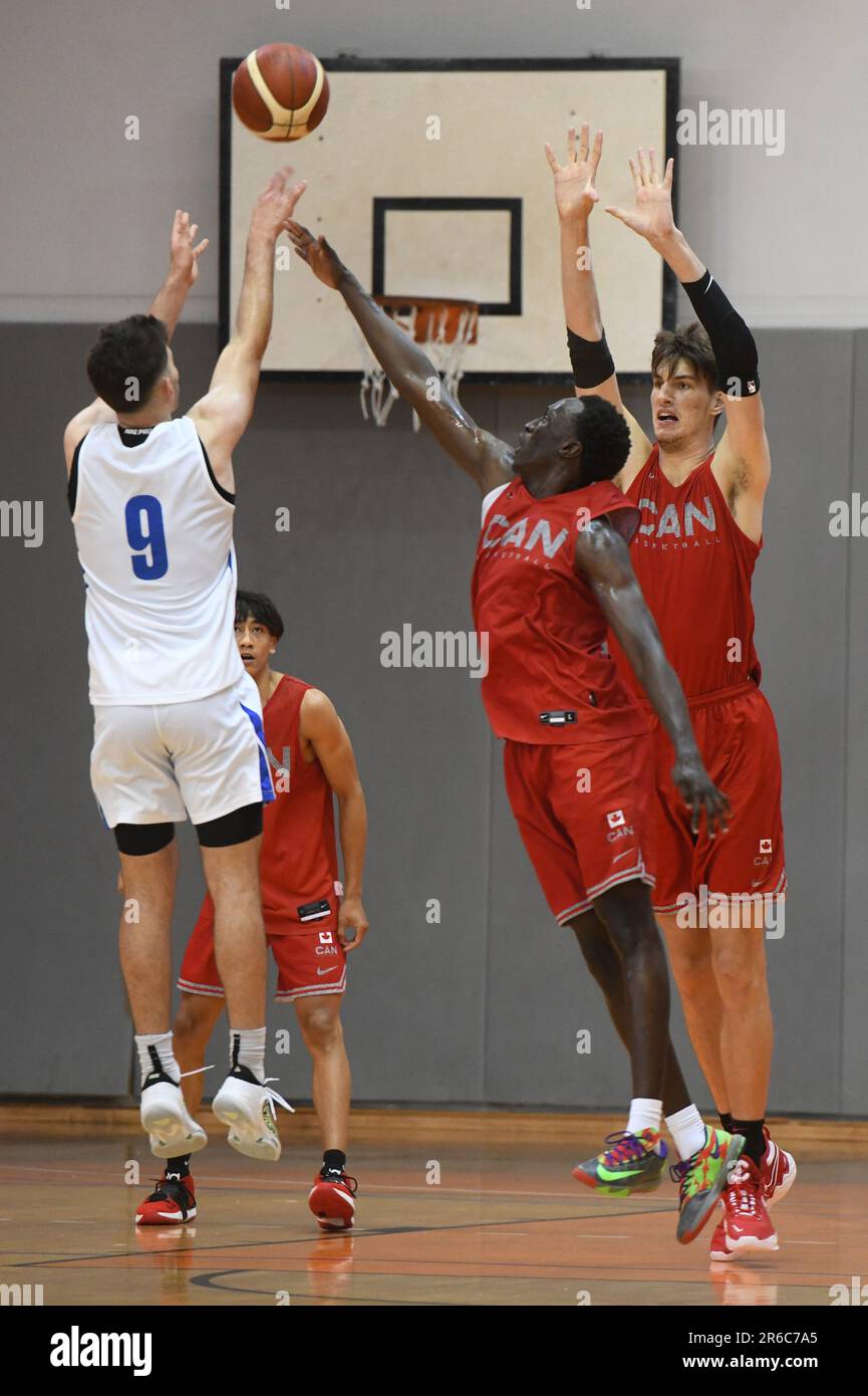 He is only 17 years old, but he is already a dizzying 231 centimeters ...
