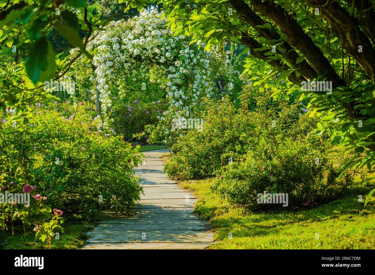 Seasonal spring flowers from garden in nature Stock Photo - Alamy
