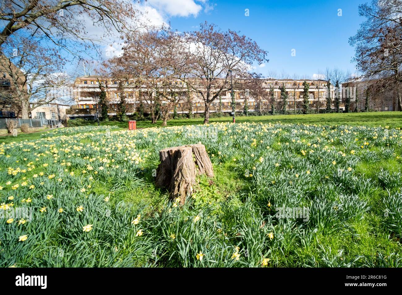LONDON, MARCH 2023: Angell Town Estate in Brixton, south west London ...