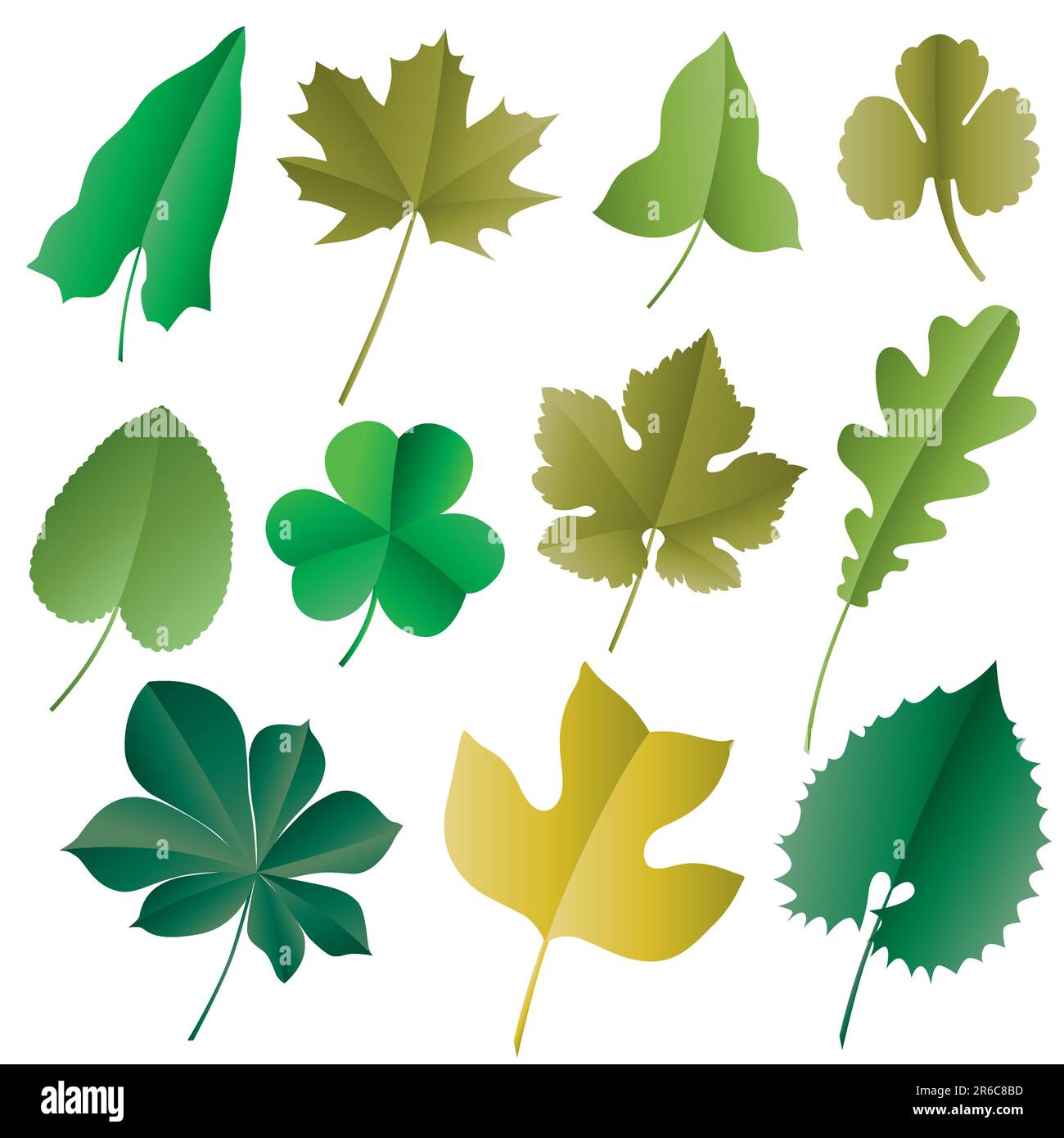 Blade leaves Stock Vector Images - Alamy
