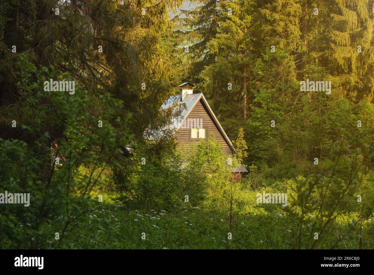 Wooden cabin in the forest.Beautiful natural surrounding. High quality ...