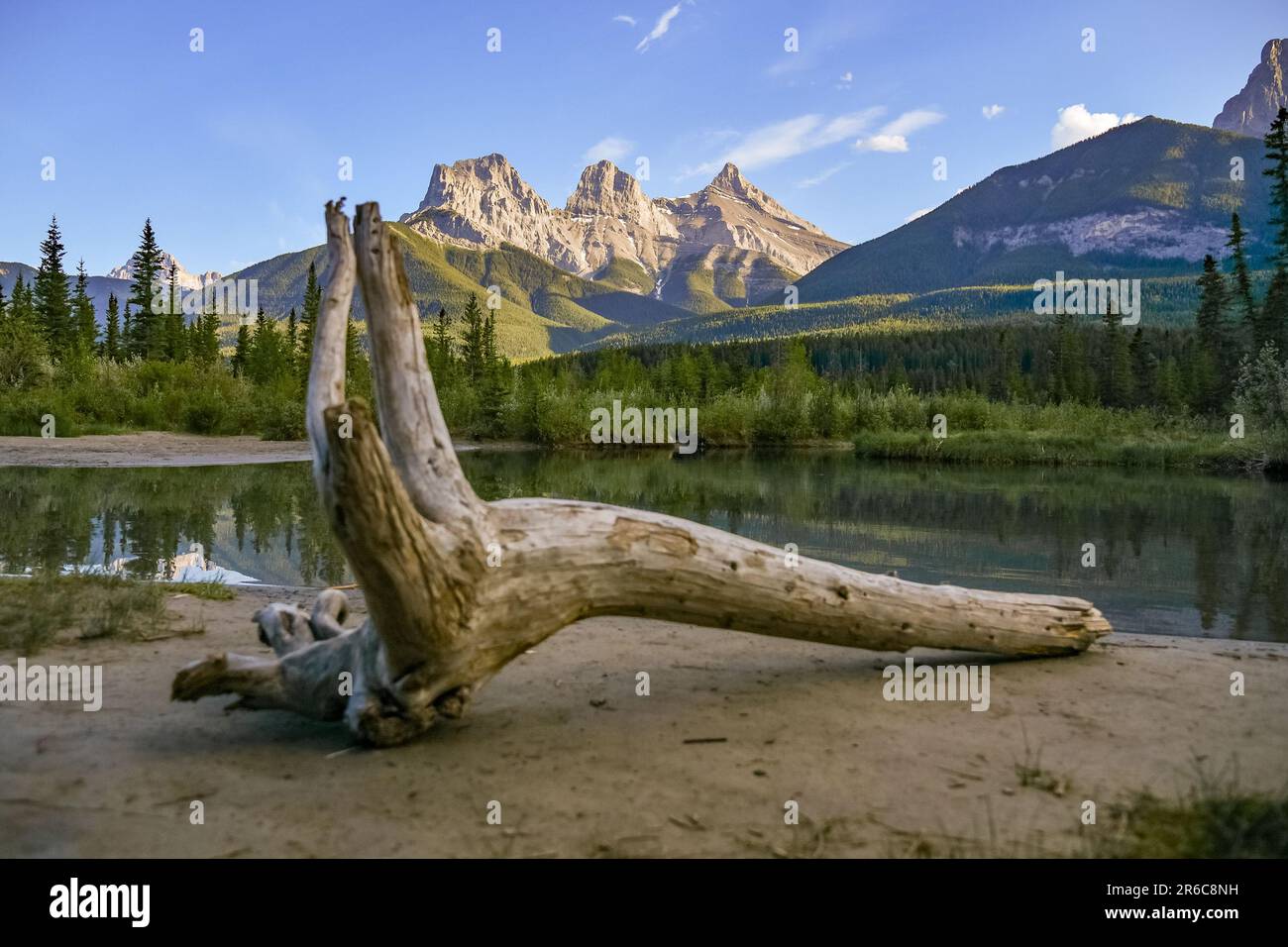 Three Sisters at sunset with driftwood in foreground. Taken near Banff ...