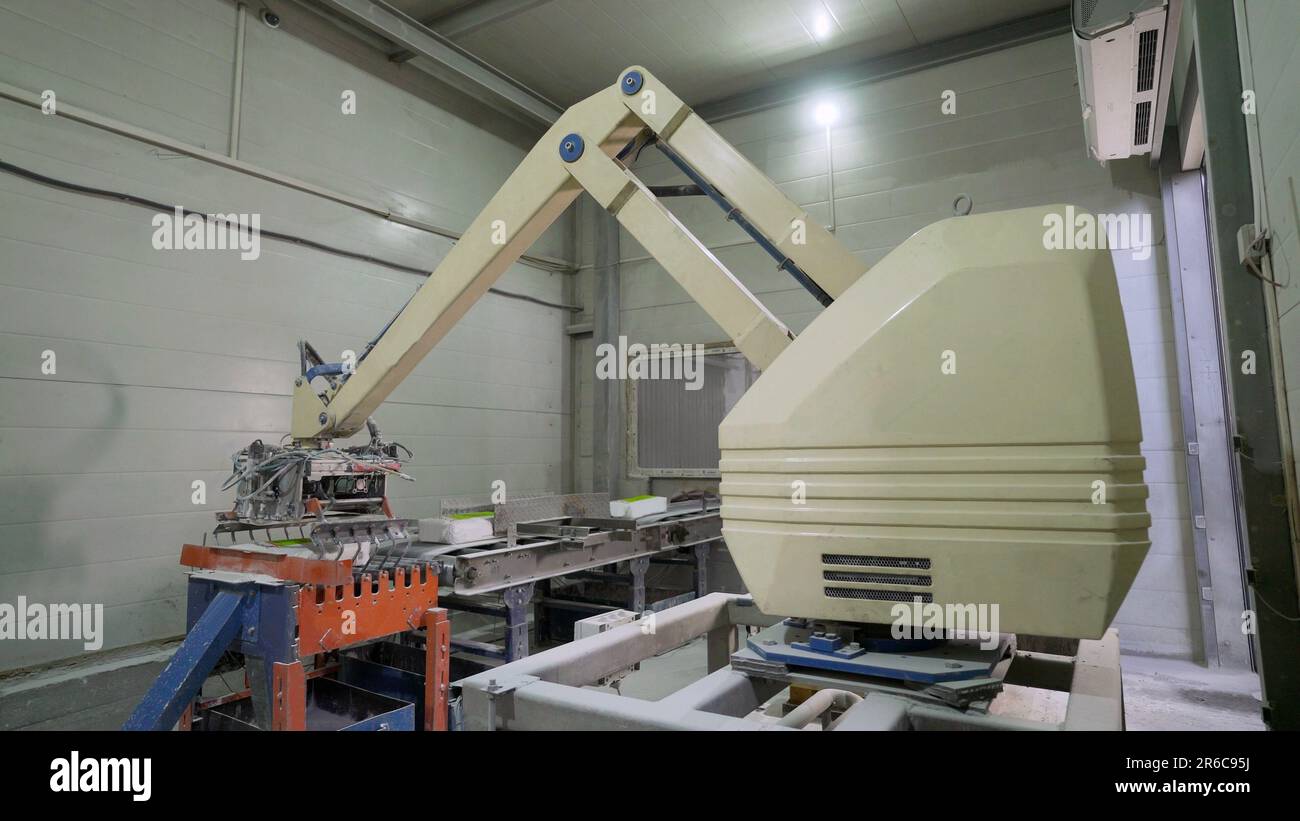 Bag gripper. Automatic pallet wrapper. Robotic system for stacking ...