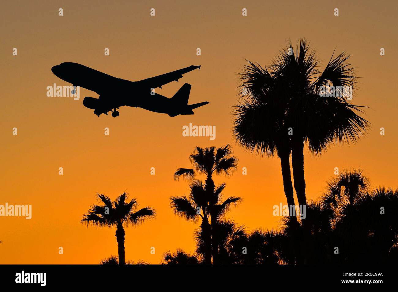 Airplane flight palm tree hi-res stock photography and images - Alamy