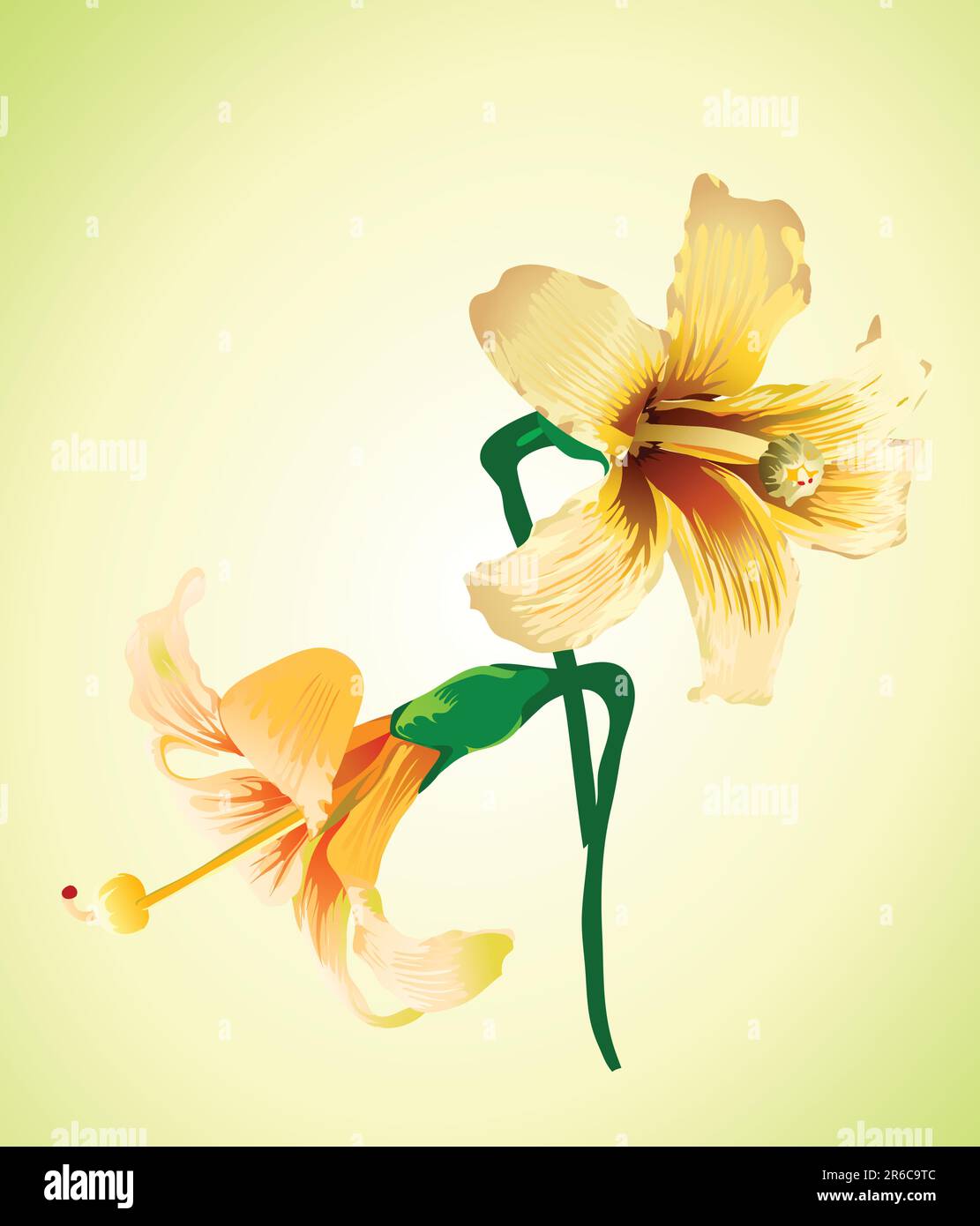 Vector illustration of beautiful detailed elegant flower Stock Vector ...