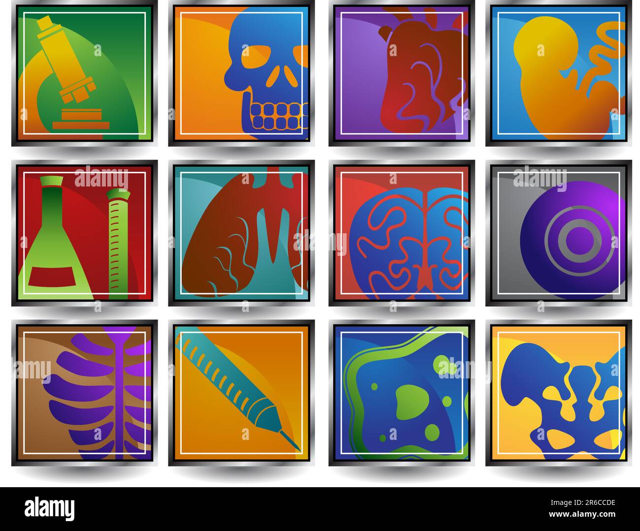 Set of 12 Biology Buttons - Square Stock Vector Image & Art - Alamy