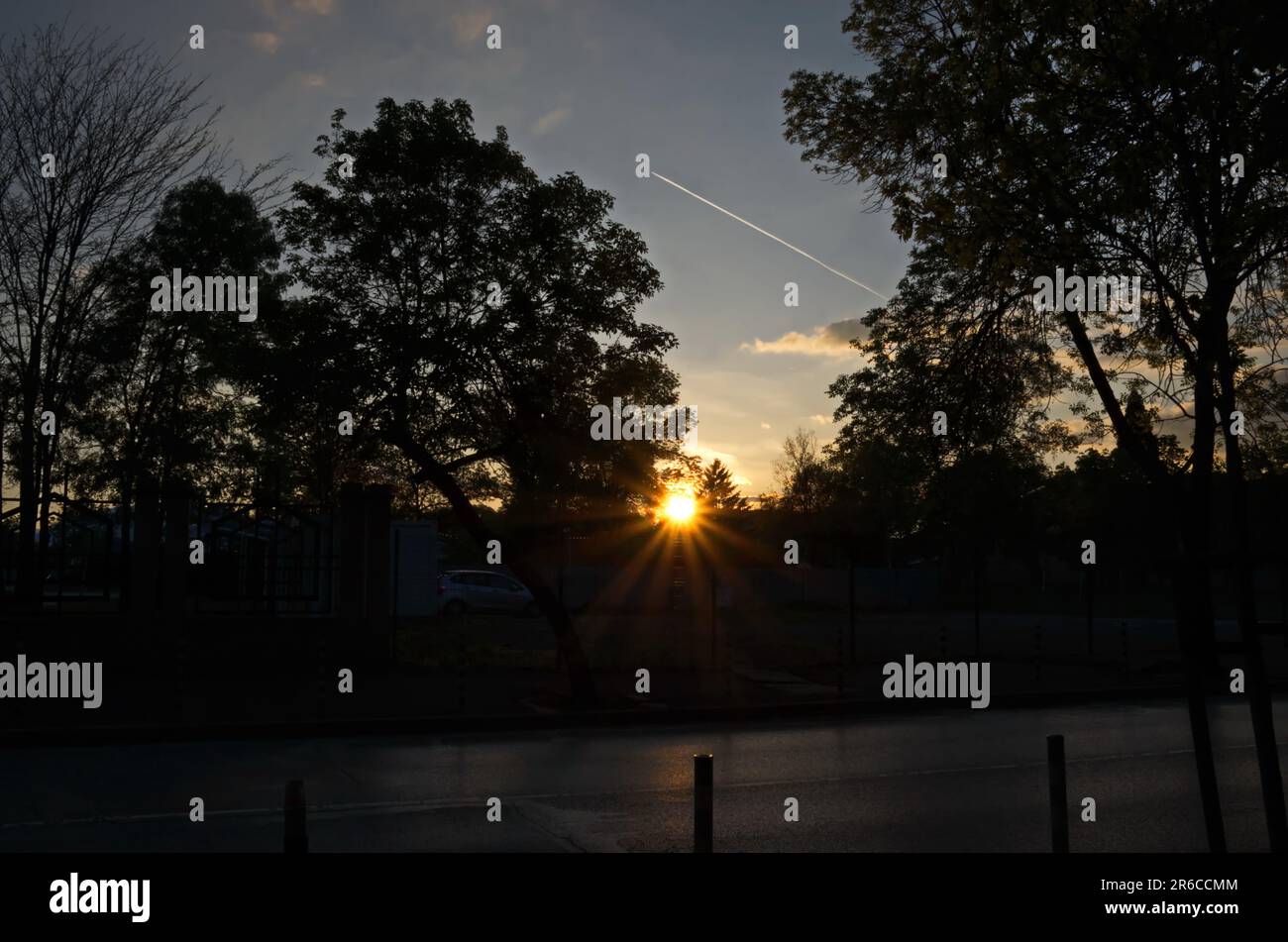 Beautiful sunset between the branches of fresh spring trees with lots ...