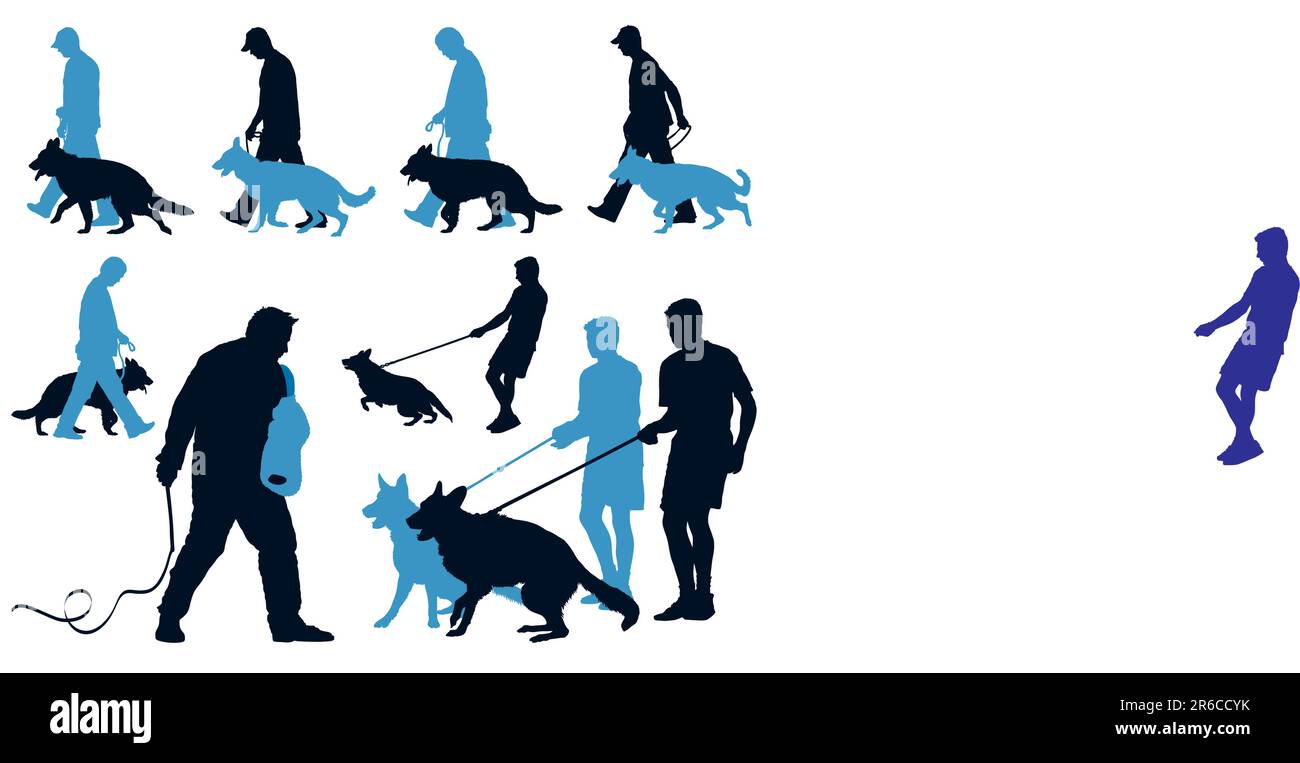 Young German Shepherd dogs at their work at the dog school with their ...