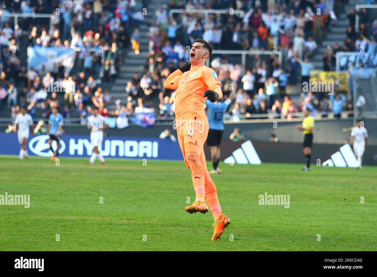 Tai abed hi-res stock photography and images - Alamy