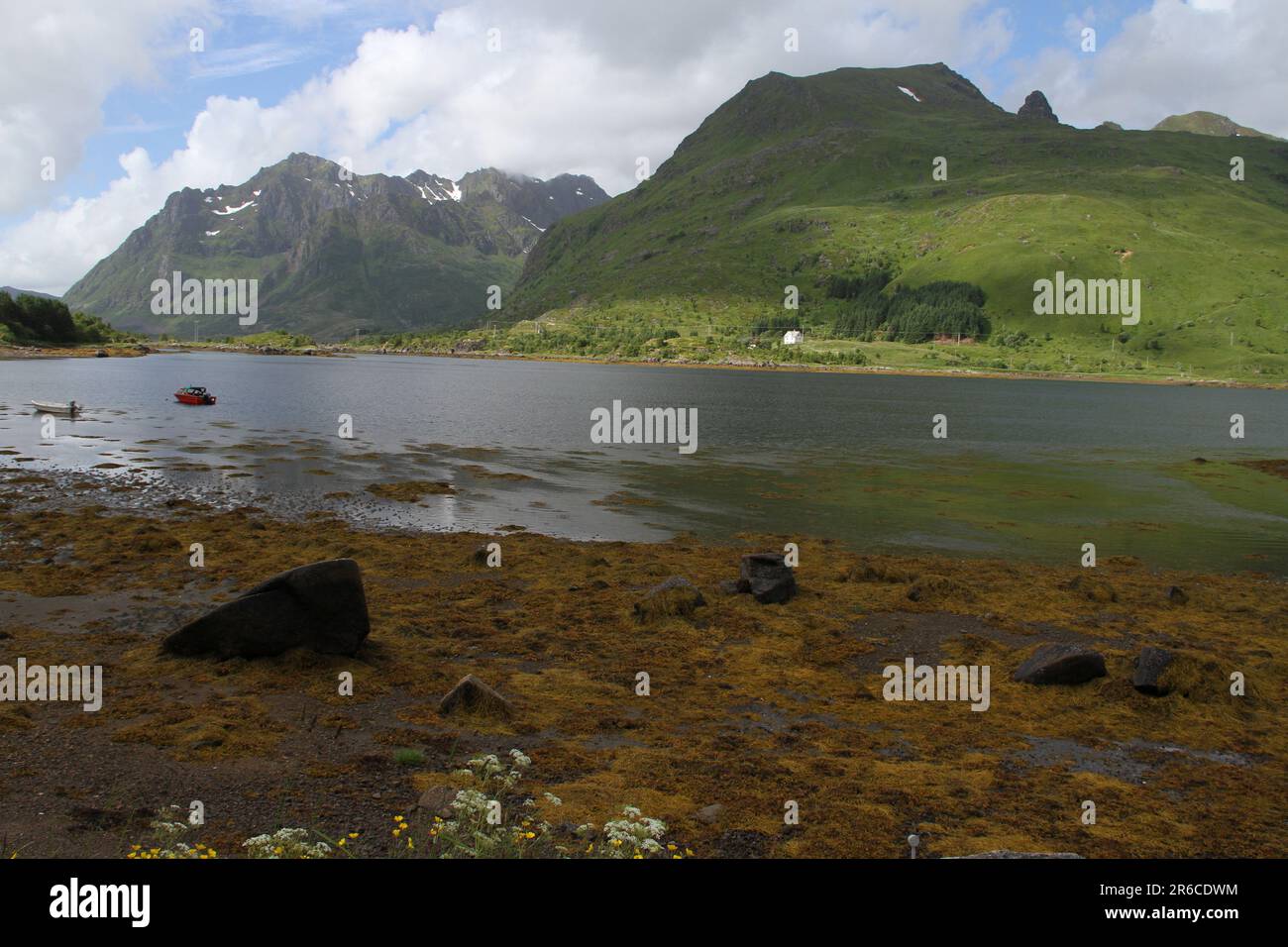 Lofoten peninsula, Norway, Mountains, lakes, and fjords Stock Photo - Alamy