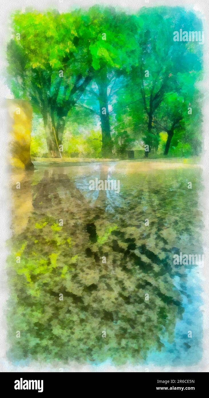 reflecting trees on the ground after raining. the image is treated with ...