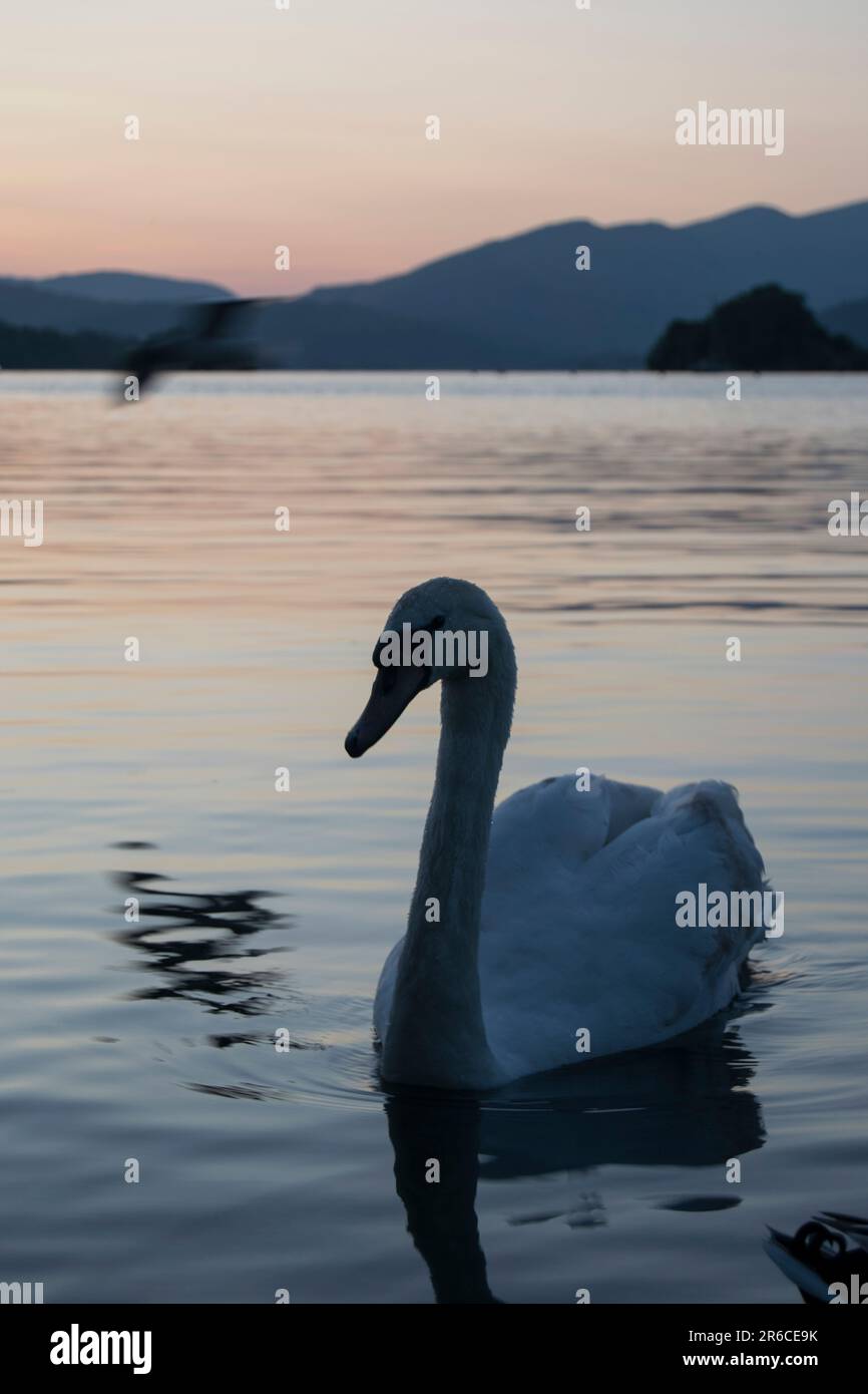 Beautiful sunset district lake hi-res stock photography and images - Alamy