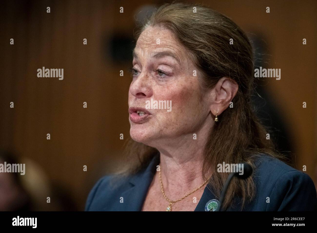 Katherine neas hi-res stock photography and images - Alamy