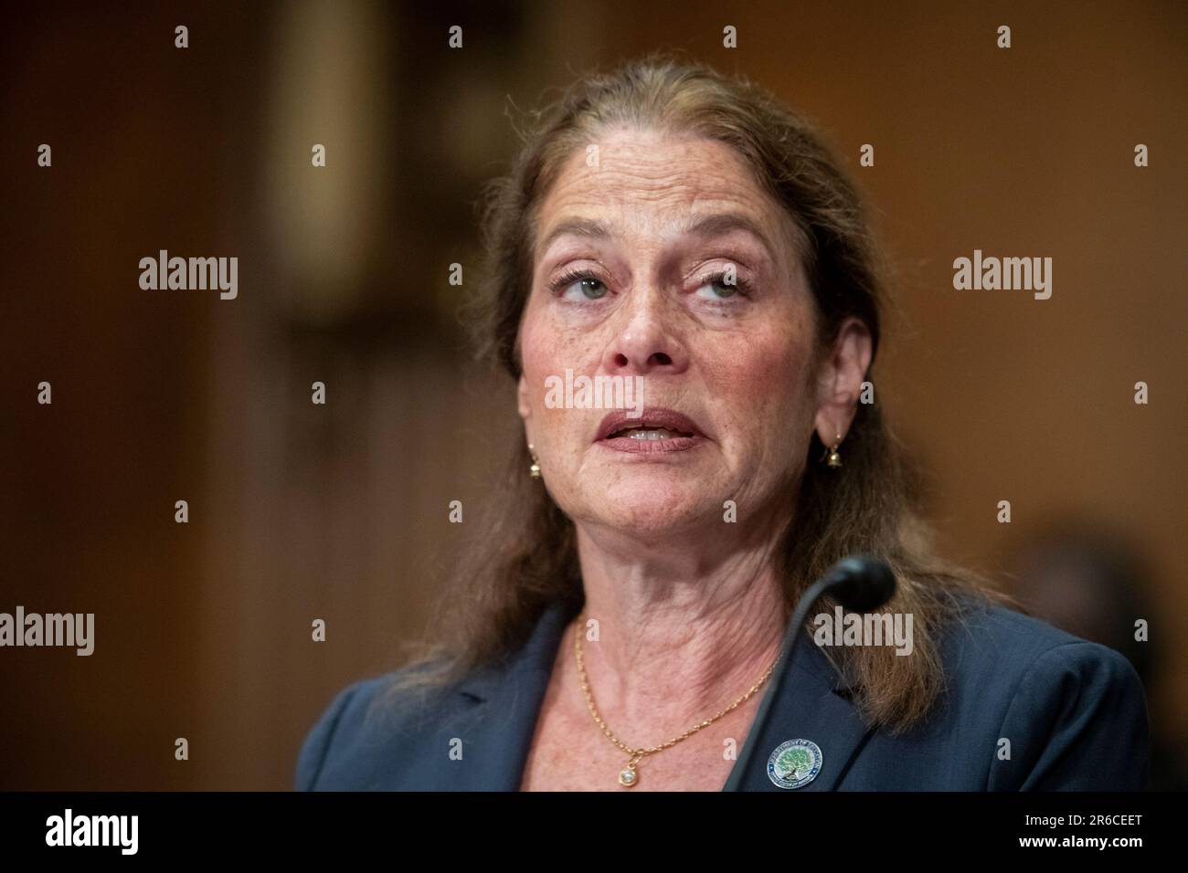 Katherine neas hi-res stock photography and images - Alamy