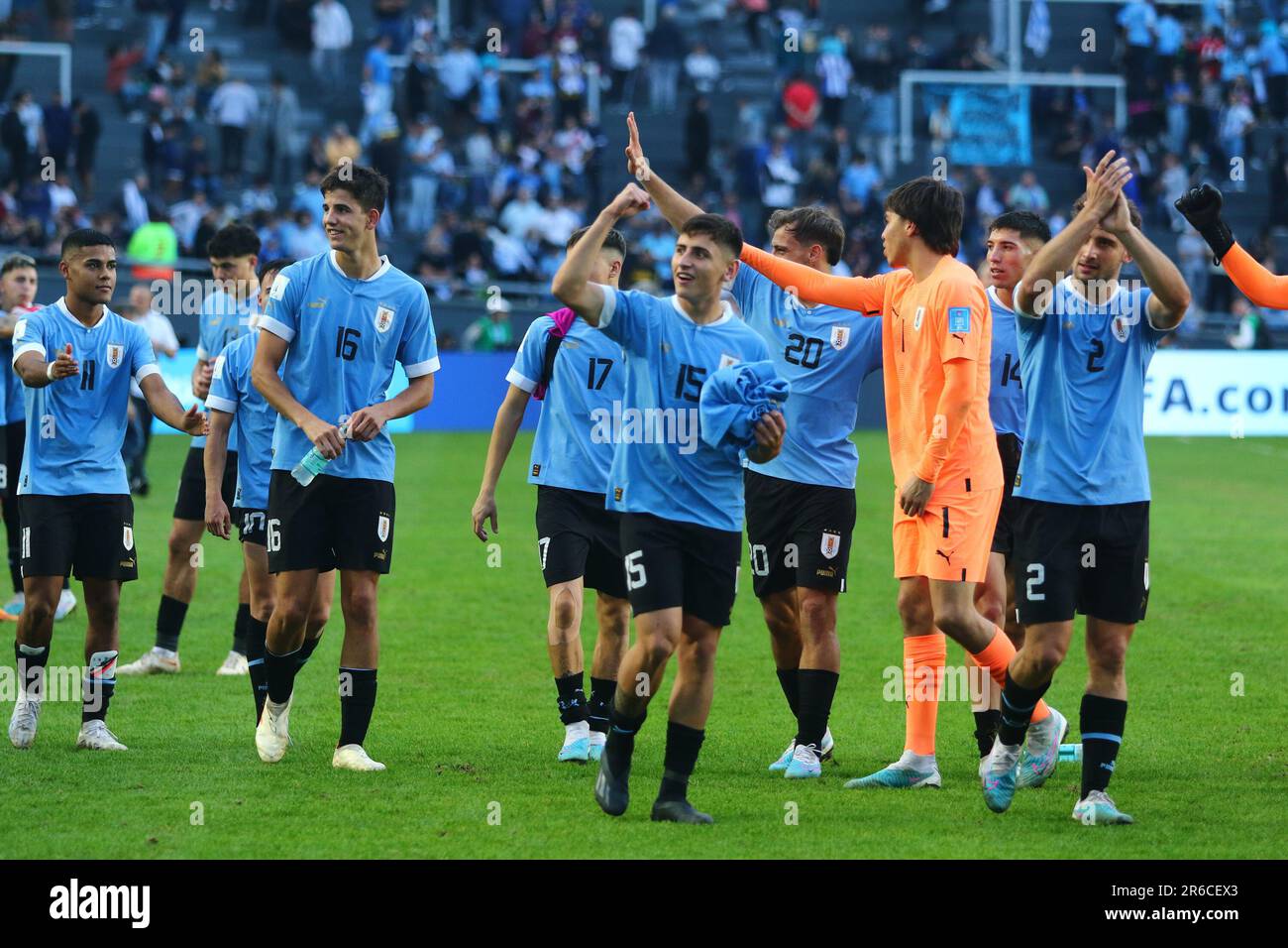 Tai abed hi-res stock photography and images - Alamy