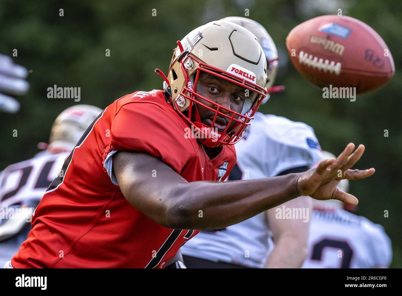 Berlin, Germany. 08th June, 2023. American Football: European League of ...