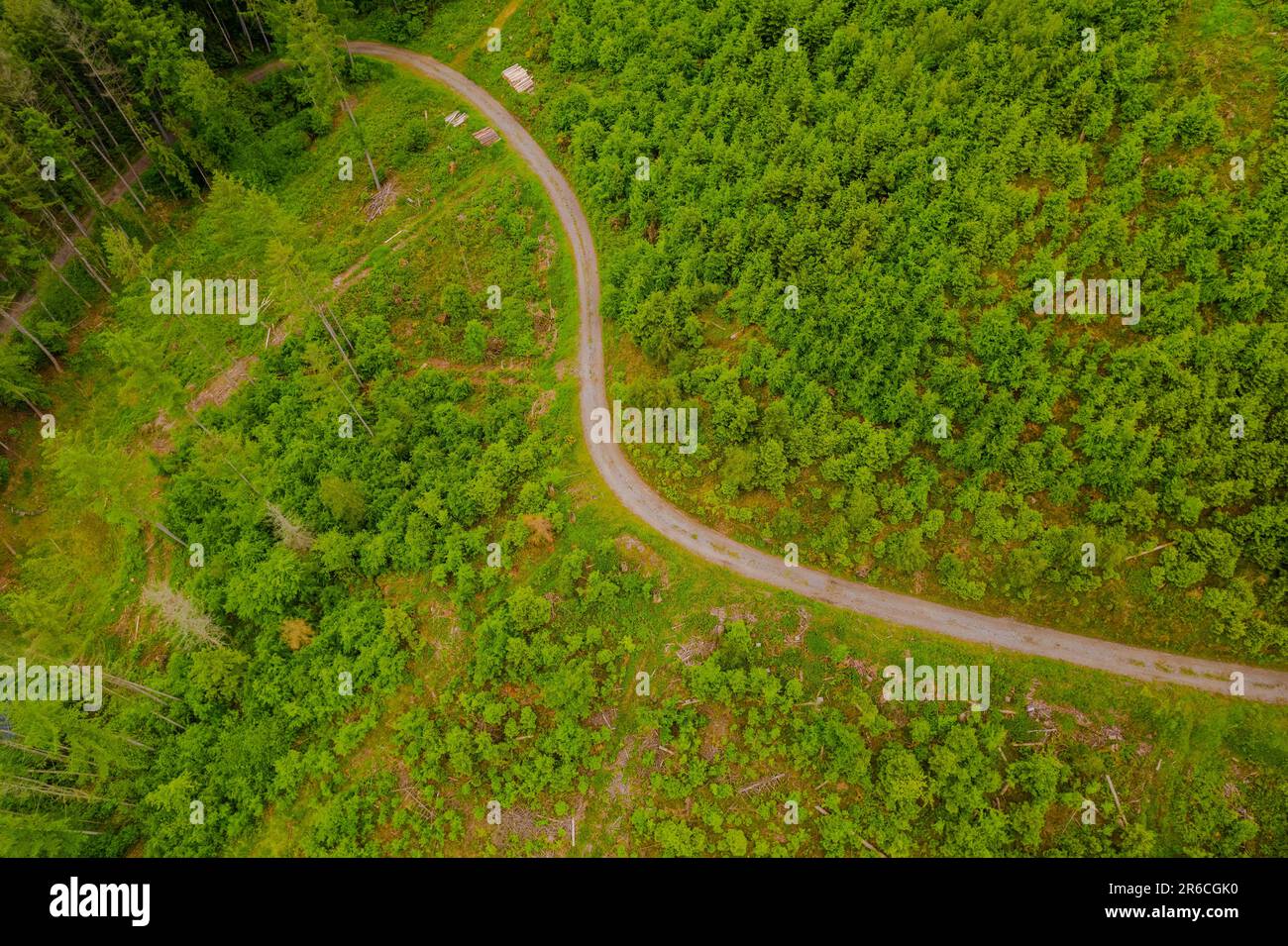 A curvy path through the green meadow, aerial photo Stock Photo - Alamy