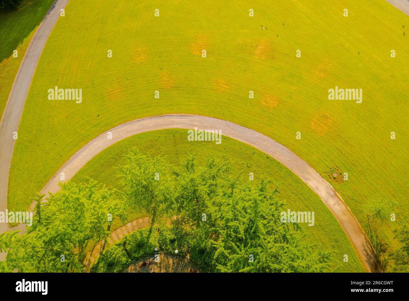 A curvy path through the green meadow, aerial photo Stock Photo - Alamy