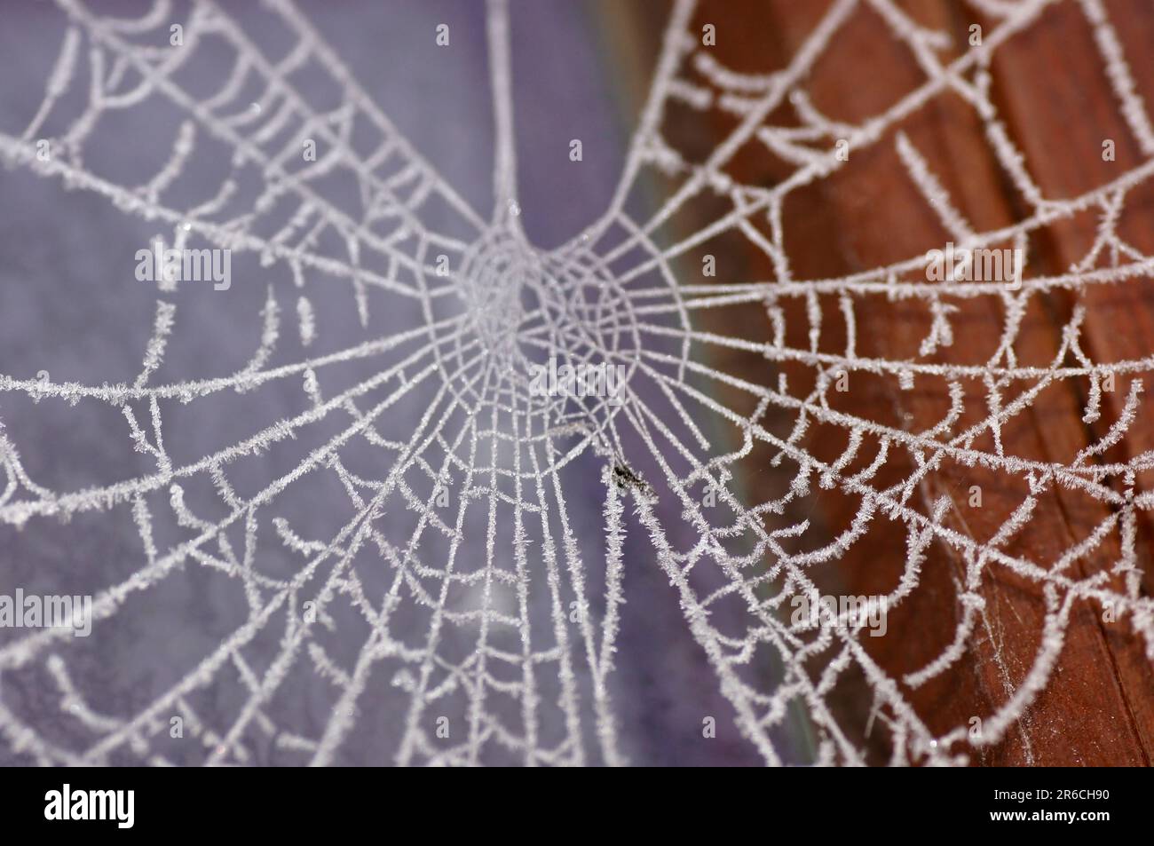 A close-up of a spider web set between two small wooden blocks in a ...