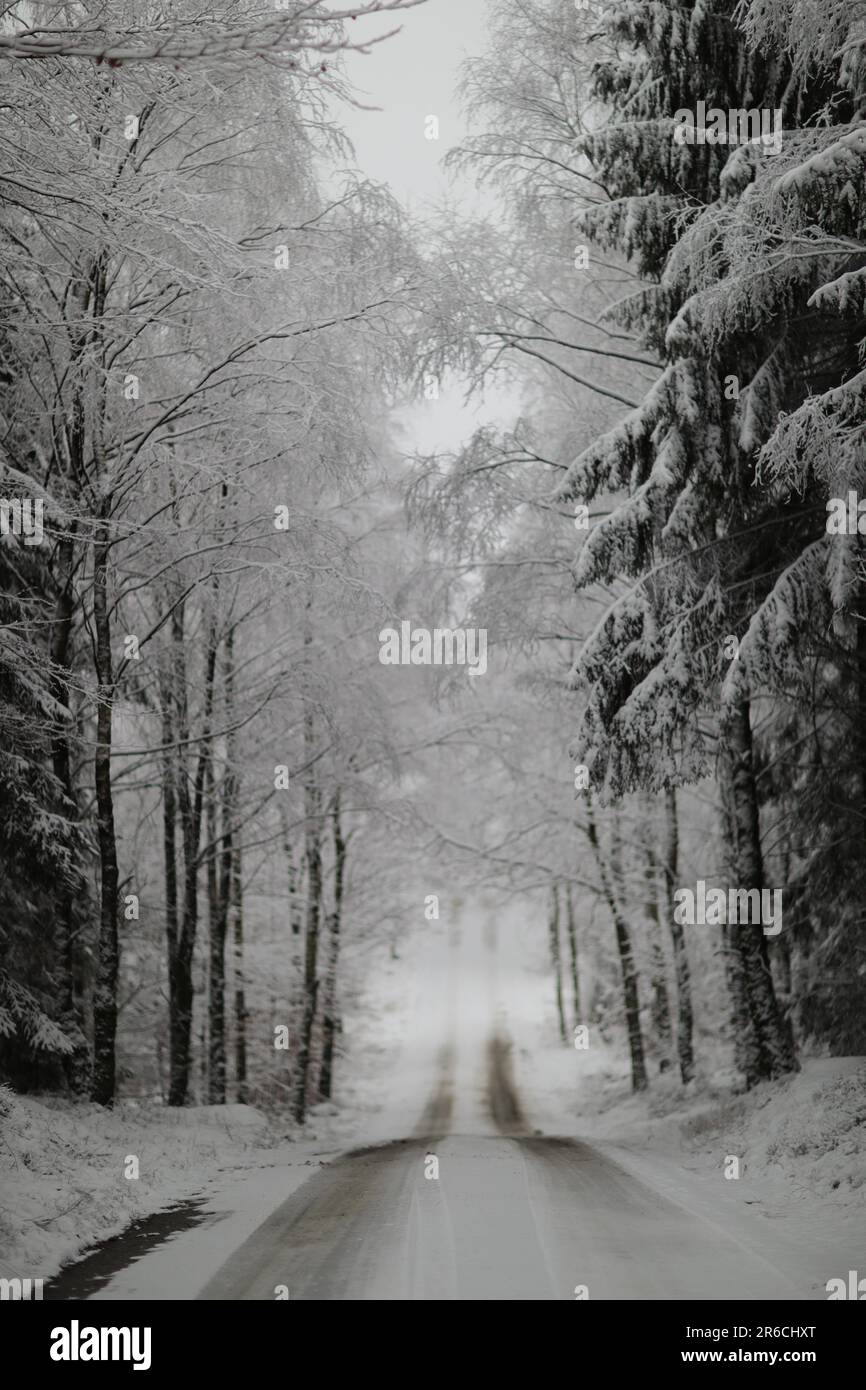 idyllic winter scene of a snow-covered road meandering through a ...