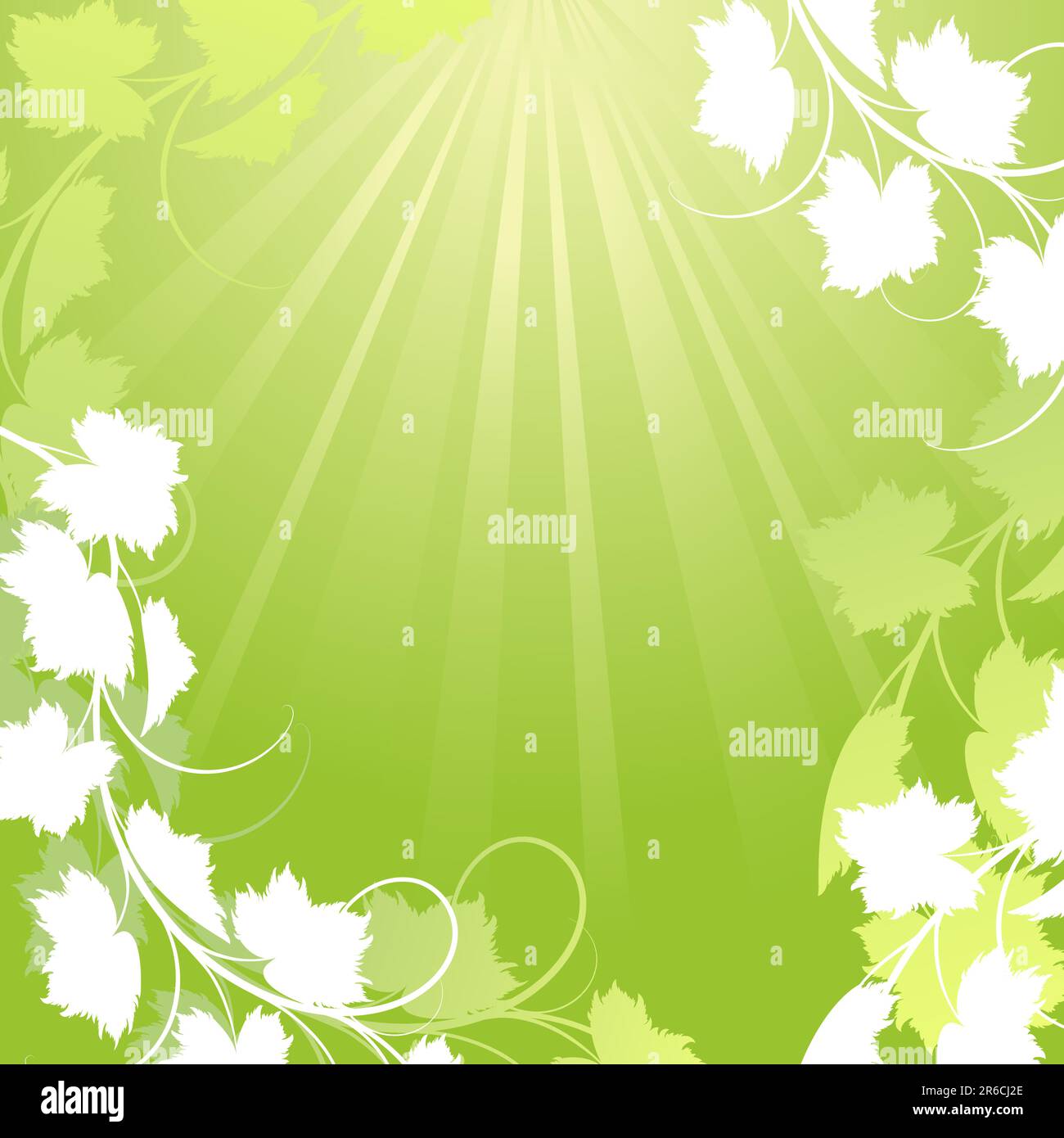 Green grapes on the vine Stock Vector Images - Alamy