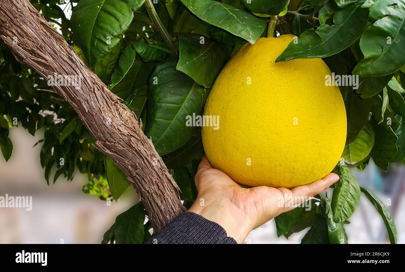 Non rounded hi-res stock photography and images - Alamy