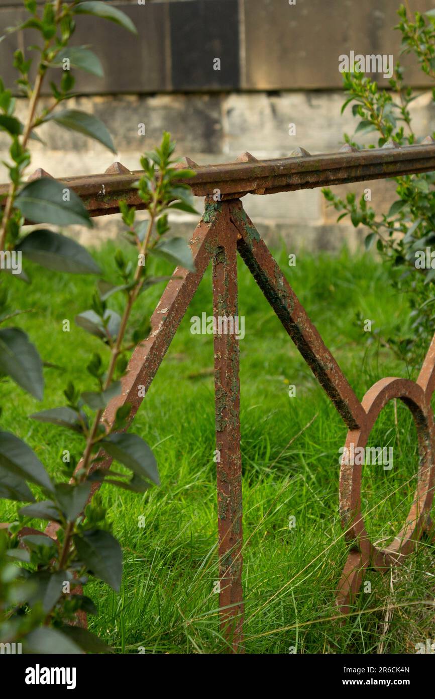 Rusted metal fence with geometric metal design. Green Plants come up ...