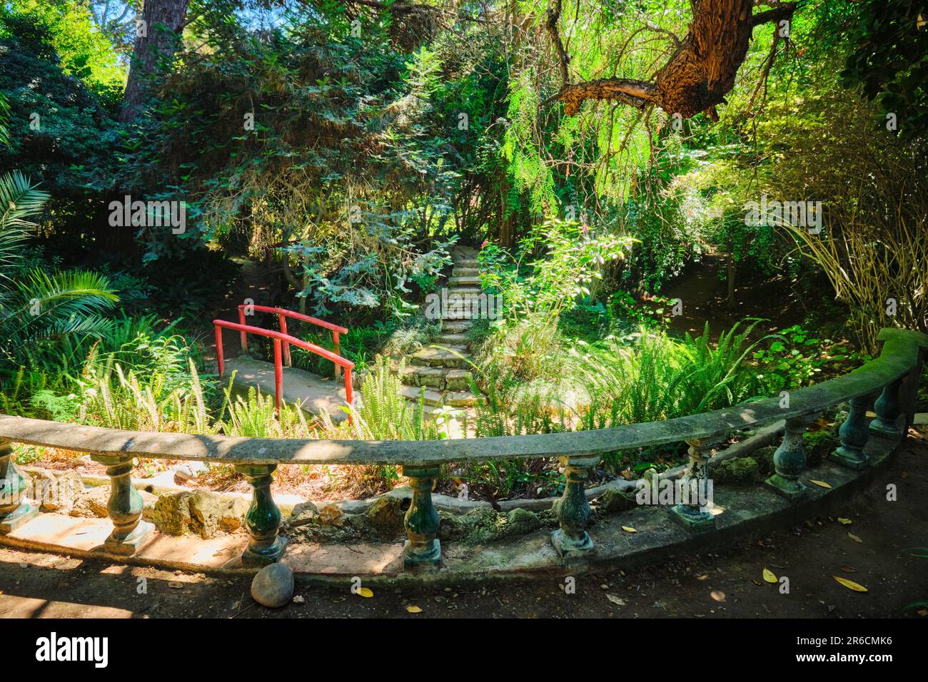 Chinese style bridge in asian part of tropical botanical garden in ...