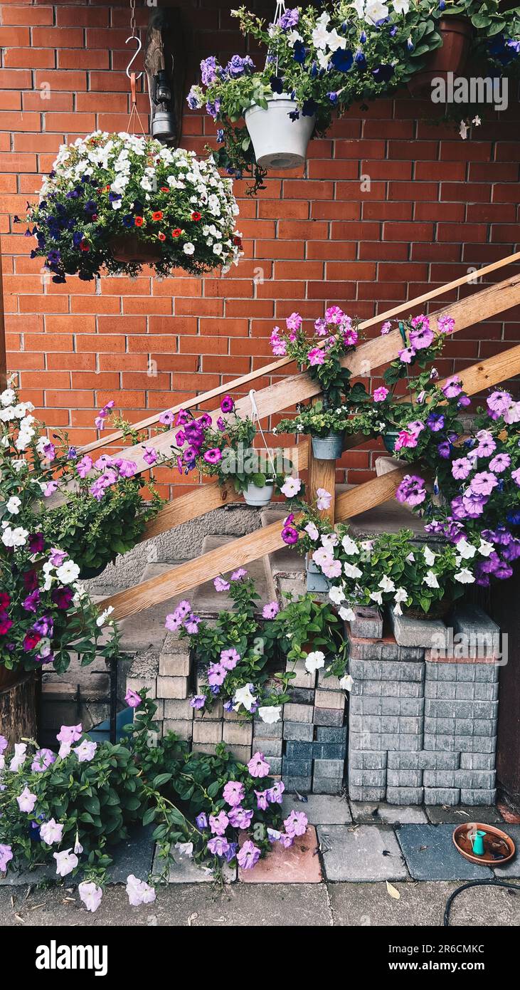 Suburban garden scape with a lot of flowers Stock Photo - Alamy