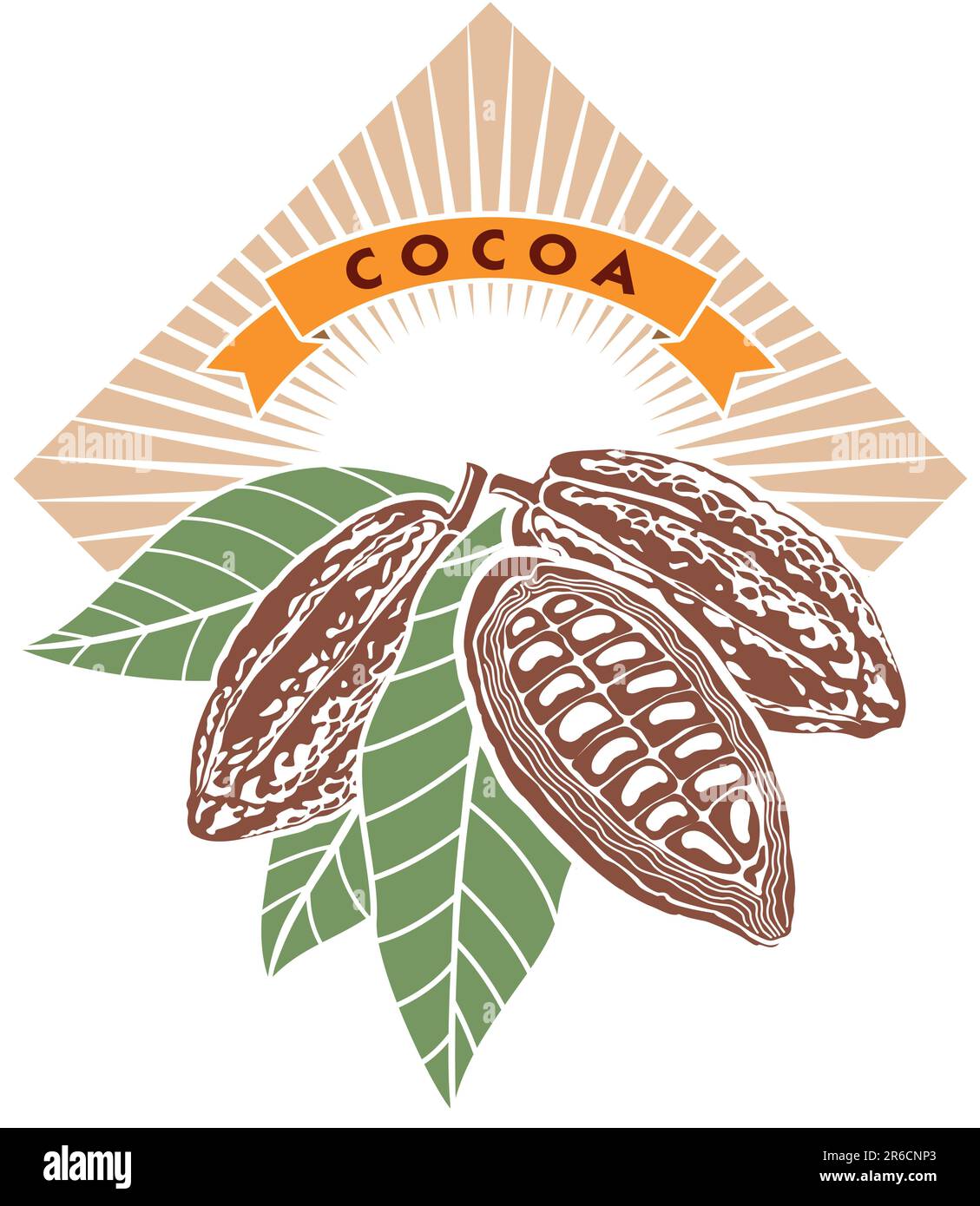 Cocoa pod green leaves Stock Vector Images - Alamy