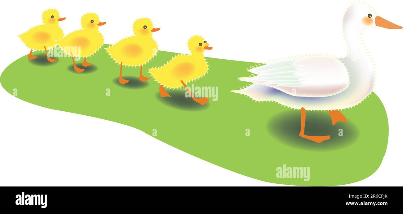 vector illustration for a mother duck bring along her for ducky as a ...