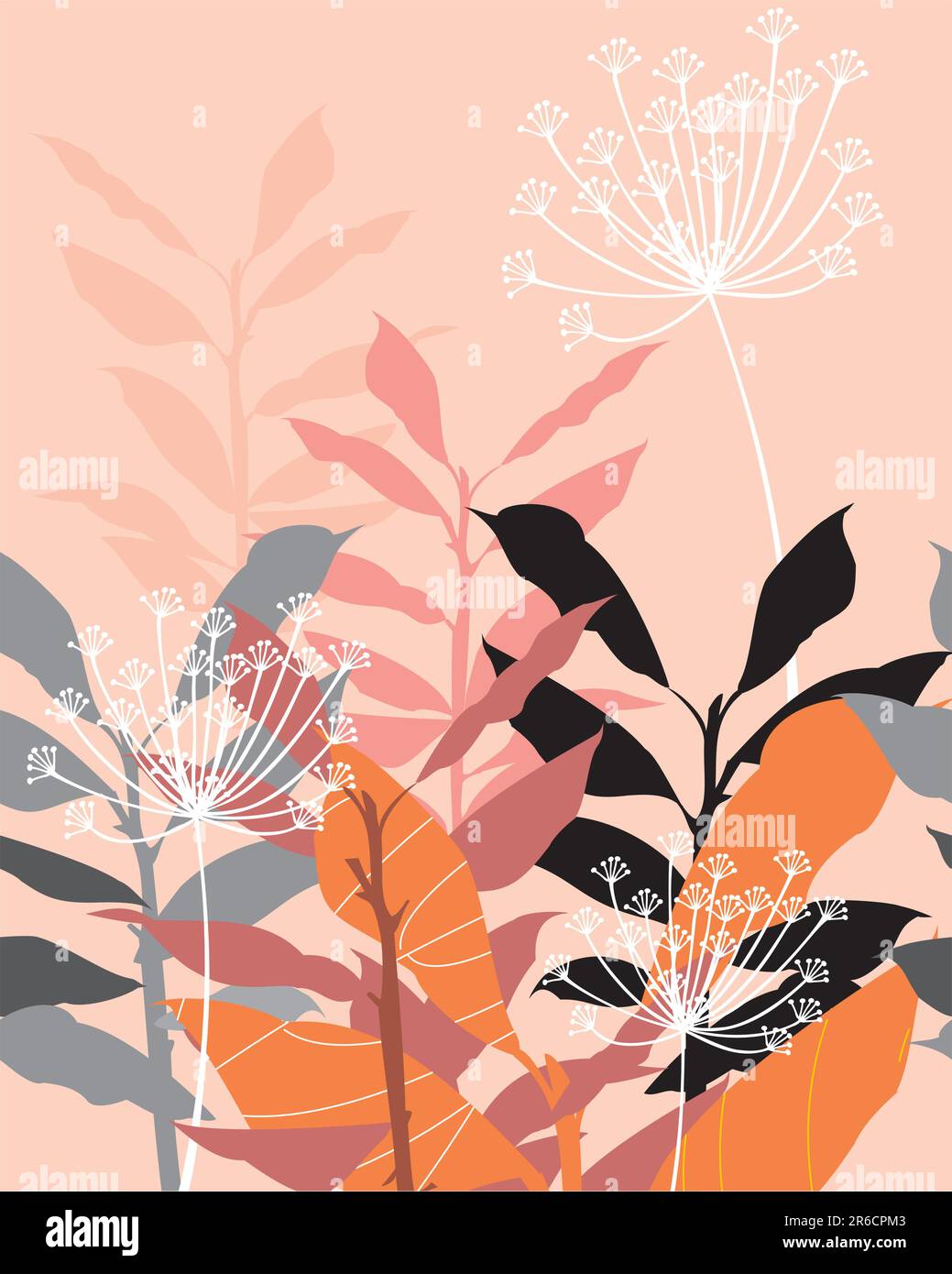 Color petal Stock Vector Images - Alamy