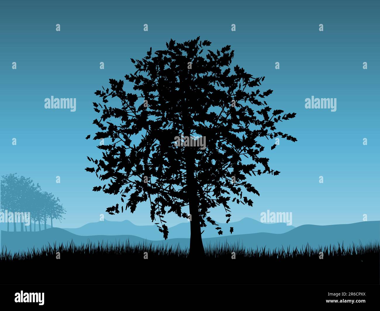 Trees sky sunset Stock Vector Images - Alamy